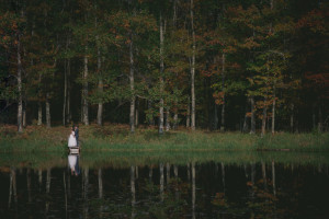 love is an awesomely fun and beautiful and heart-exploding celebration ...